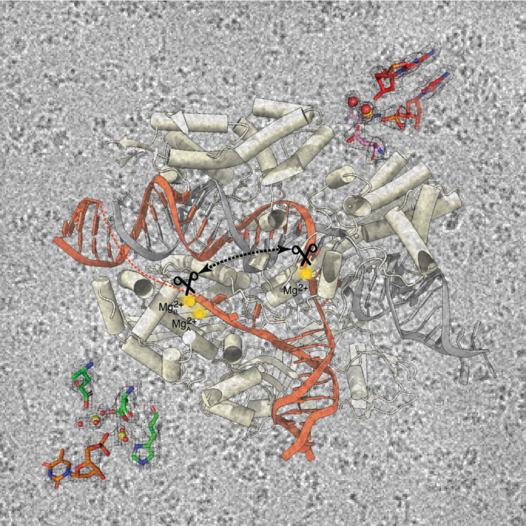 Hong Li Laboratory - Van Andel Institute